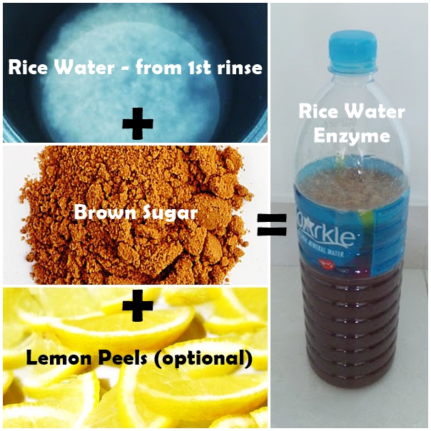 My Private Space: Rice Water Enzyme - Highly recommended!