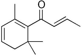 Brainy Buns: Blooming Rose Cupcakes