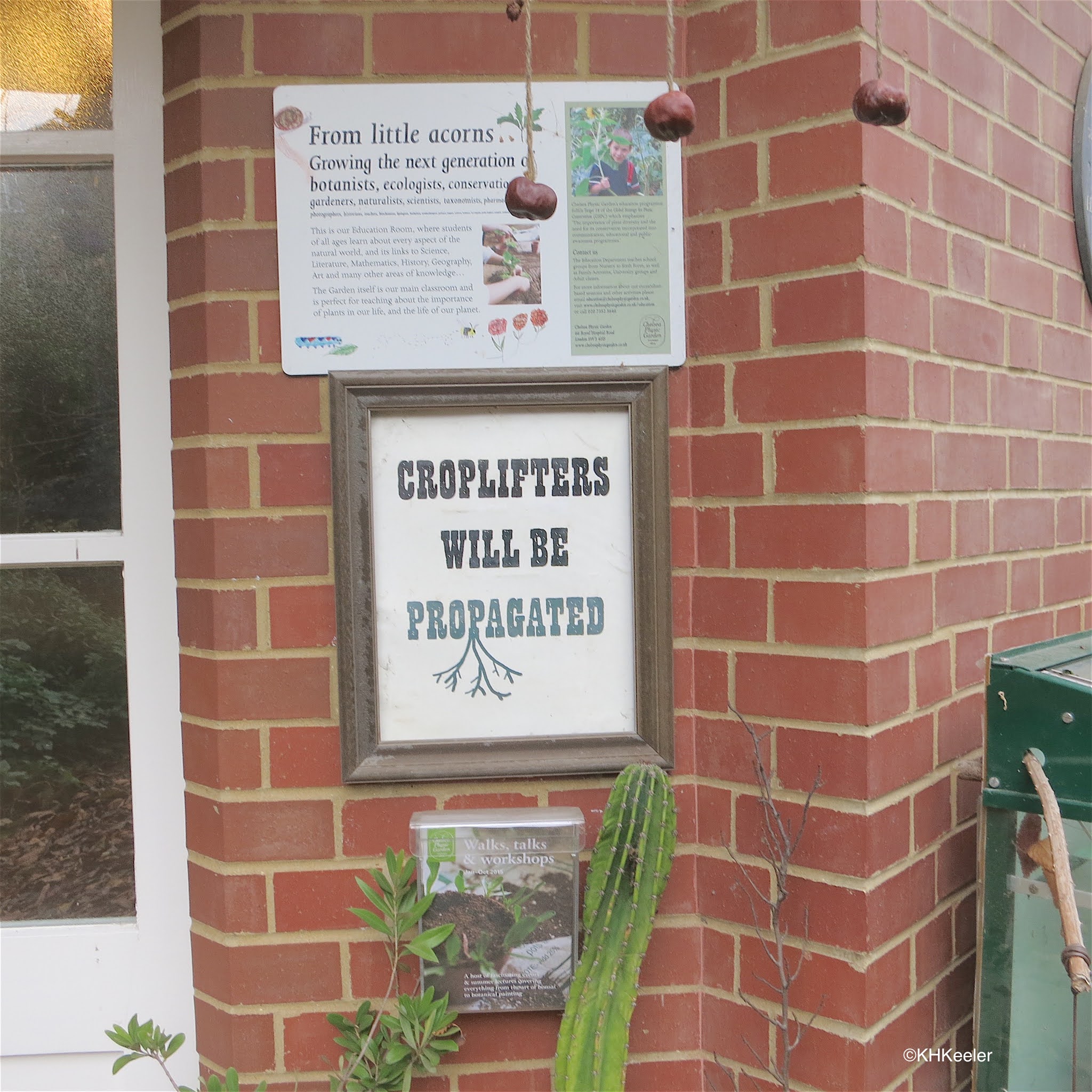 A Wandering Botanist: Robert Fortune, Tea, and China