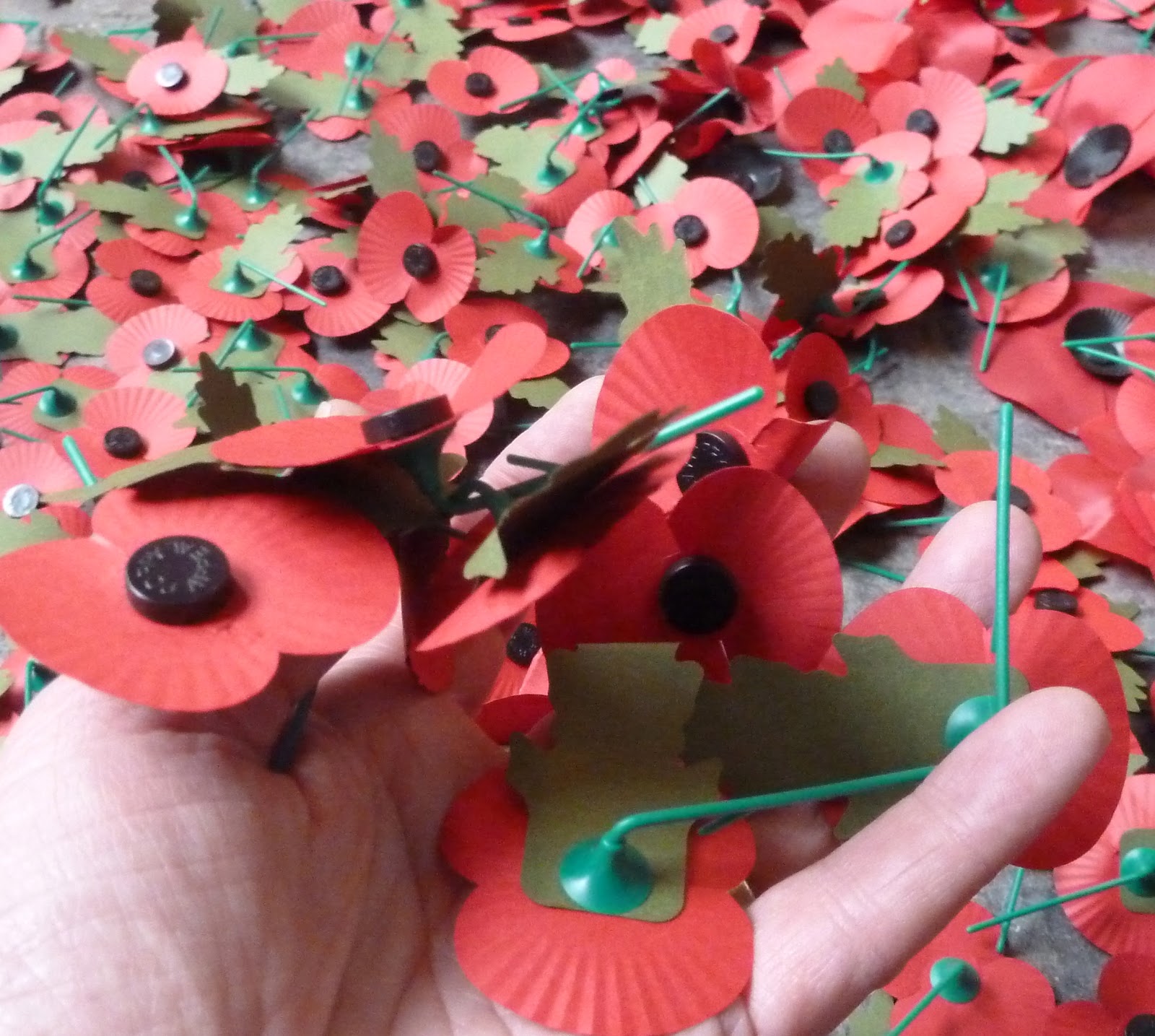 Poppy Installation at Holy Trinity, Hull.