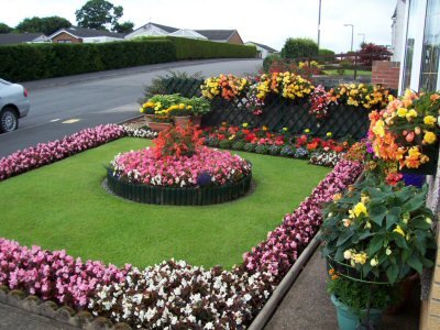 In en om die huis: Kleurvolle tuin idee