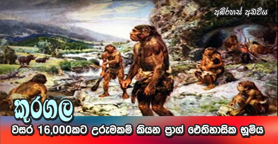Abirahas Adawiya ....(මුල් පිටුවට පිවිසෙන්න මෙතනින් ) [HOME] : වසර 16 ...