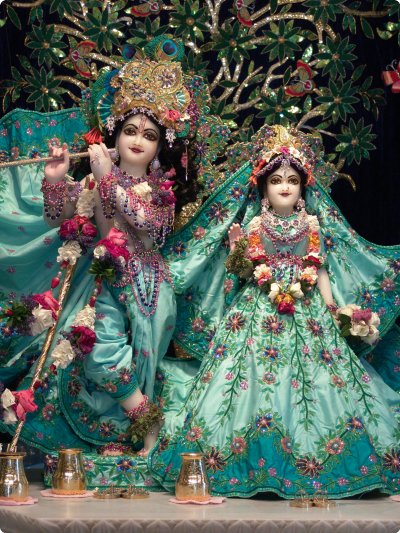 GLORIOUS KRISHNA: Holding onto Krishna's Lotus Feet