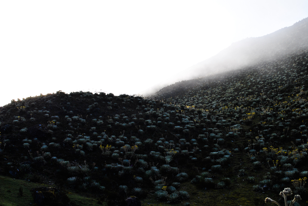Venezuela mágica: Recorriendo el Paramo, Merida 2010