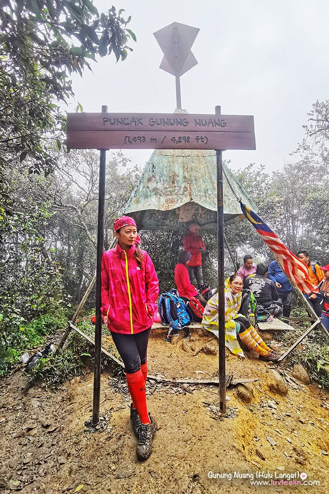 Gunung Nuang // Hulu Langat 年初九 // 爬到满手伤痕的【怒昂山】 - 乐飞翎 ♥ LUVFEELIN