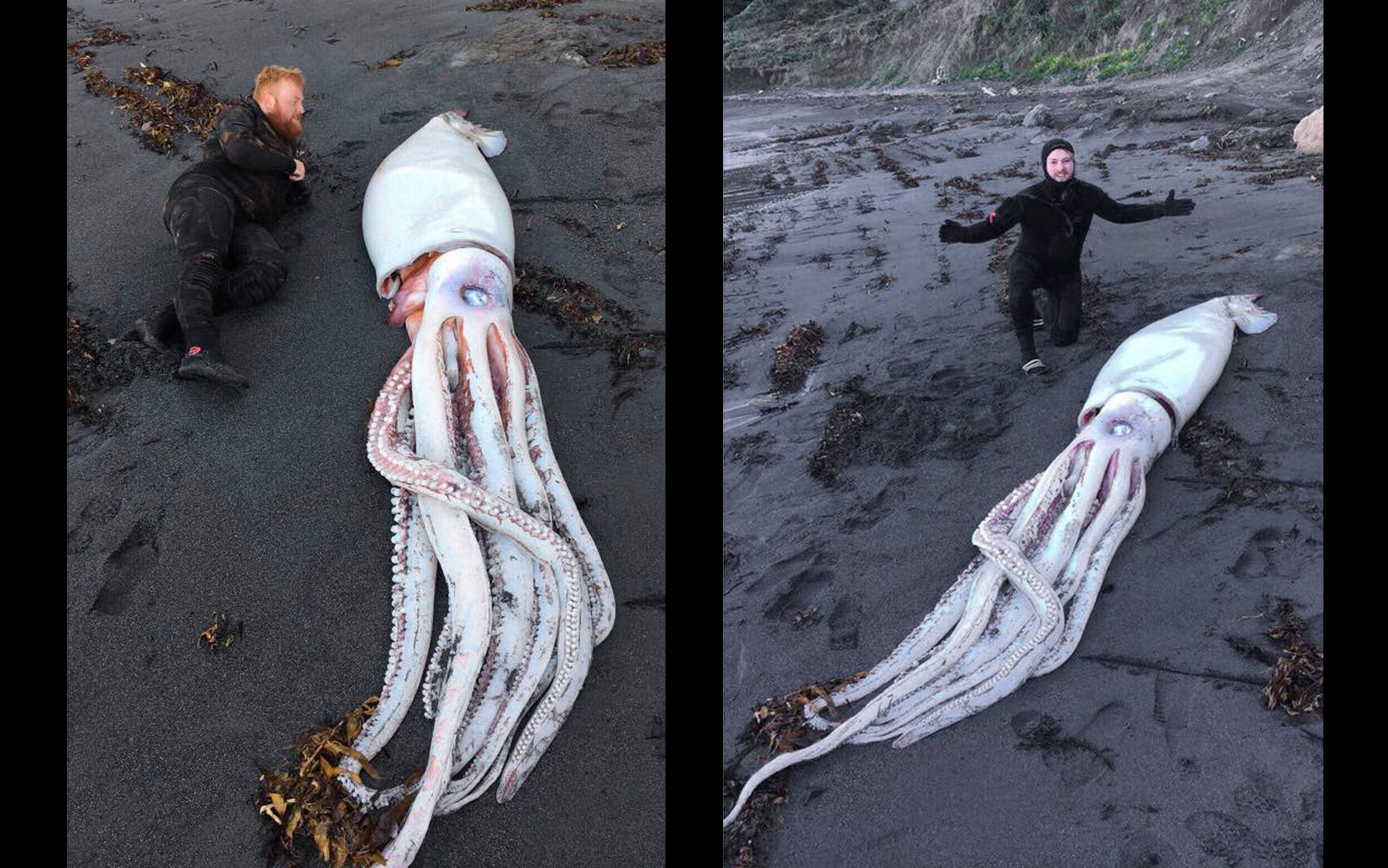 BIOLOGIA PARA A VIDA : Agosto 2021