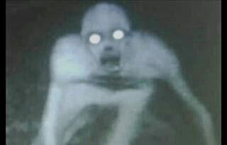 The Test Blog for Blogger and Gadgets: The Rougarou,