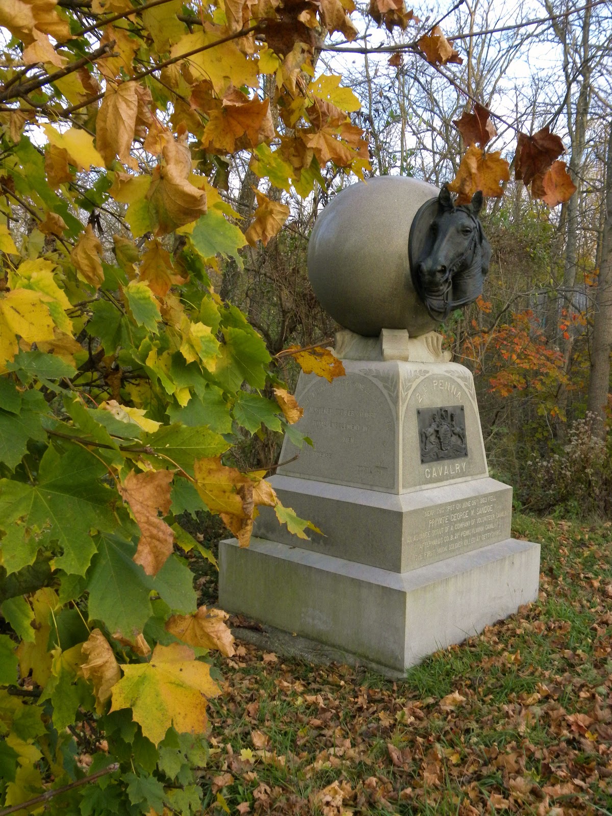 THEIR STORIES: First to Fall