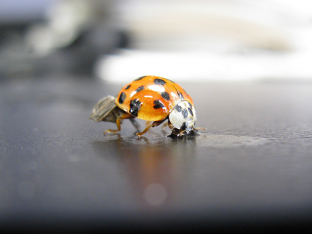 What do You Have to do to Get a Drink Around Here? | The Ark In Space