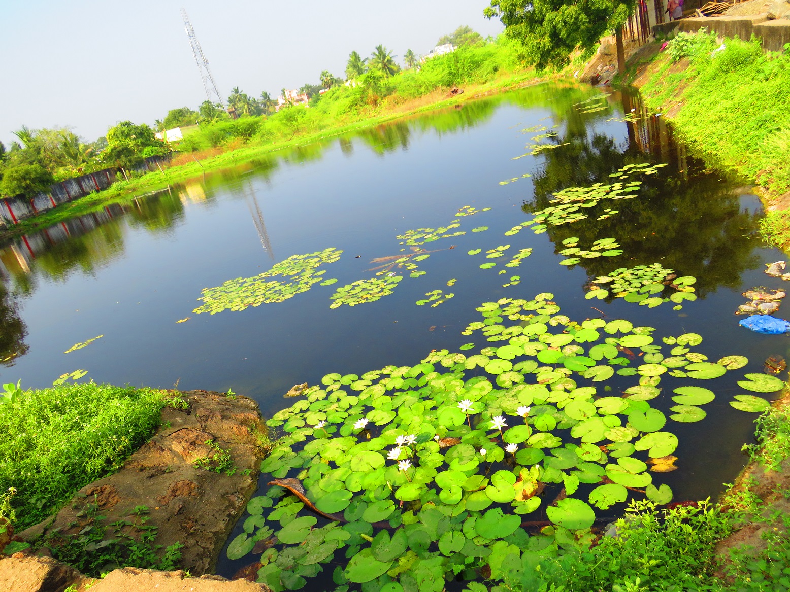 Indian Columbus: Somangalam Somanatheeswarar Temple
