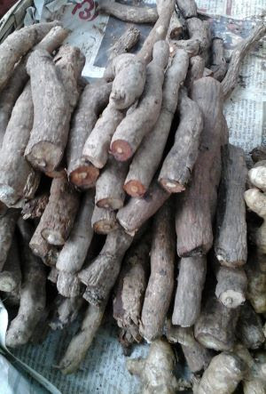 NANNARI /SUGAANDHA SARBATH JUICE RECIPE IN 3METHODS 2021/Masthani’s kitchen