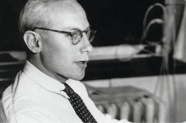 Til the Last Hemlock Dies