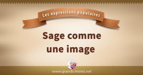 LE COQ PICORE: EXPRESSION: "SAGE COMME UNE IMAGE"