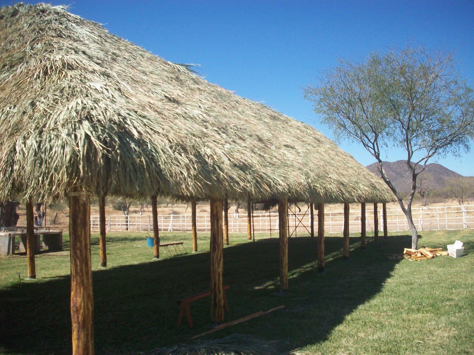 PALAPAS DEL NOROESTE