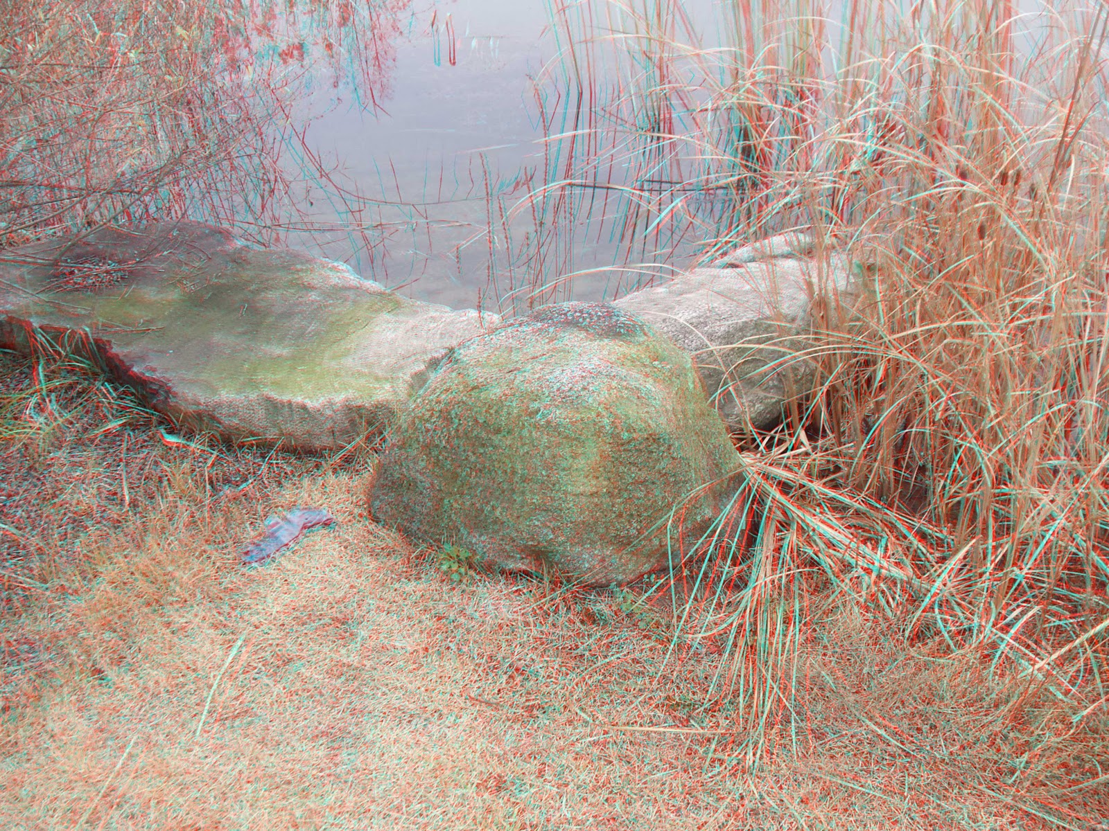 Craig's 3D in the News: Sample 3D Photos Part 10