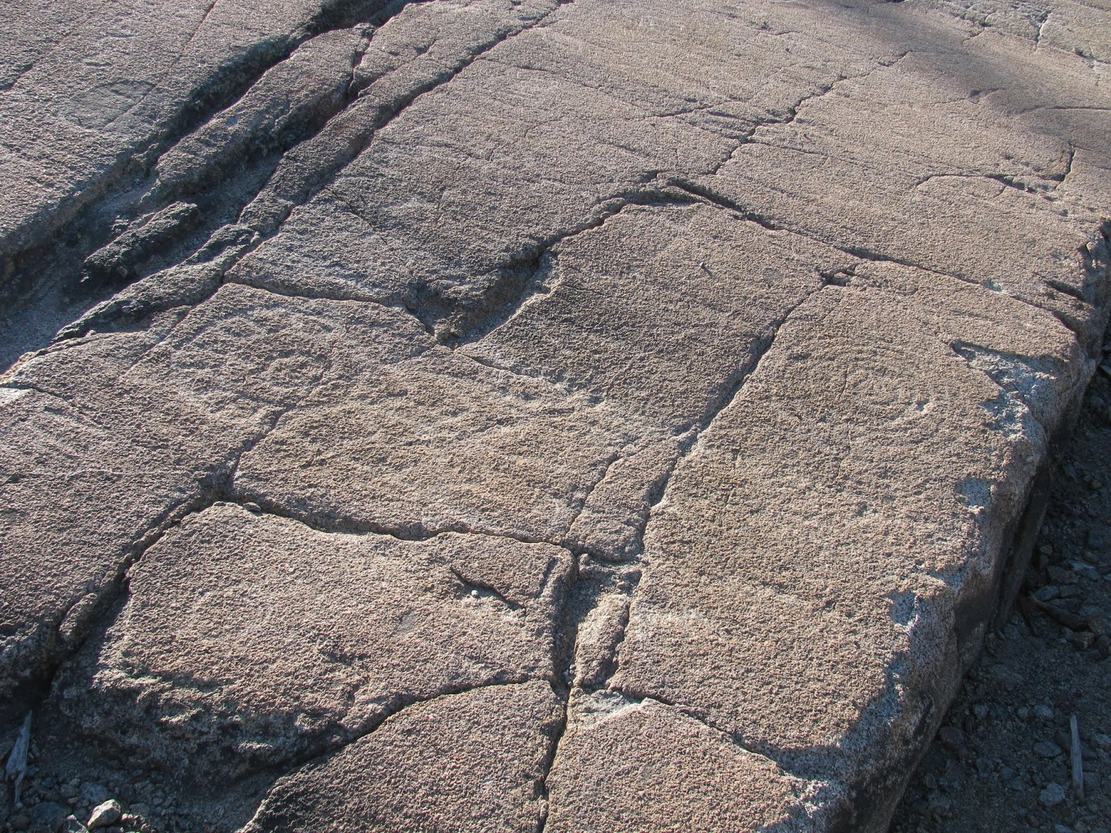 Weekend Wanderluster: Donner Summit Petroglyphs (Nevada County, California)