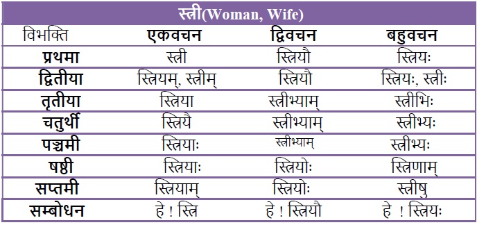 Stree shabd roop in Sanskrit