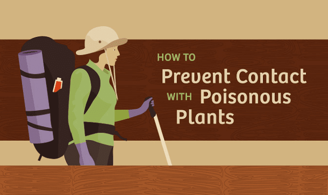 How to Prevent Contact With Poisonous Plants #infographic - Visualistan