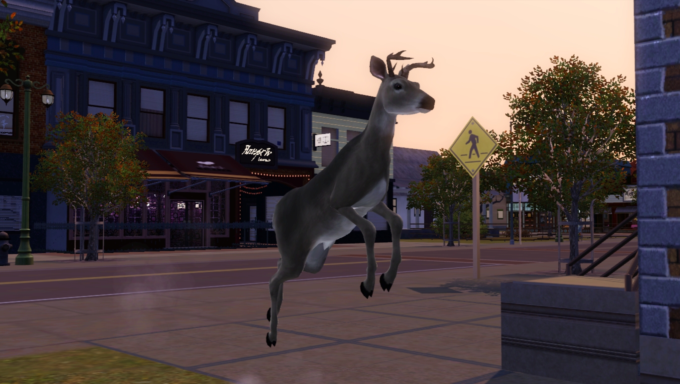 Endless tales...: Some pictures from The Sims 3 Pets