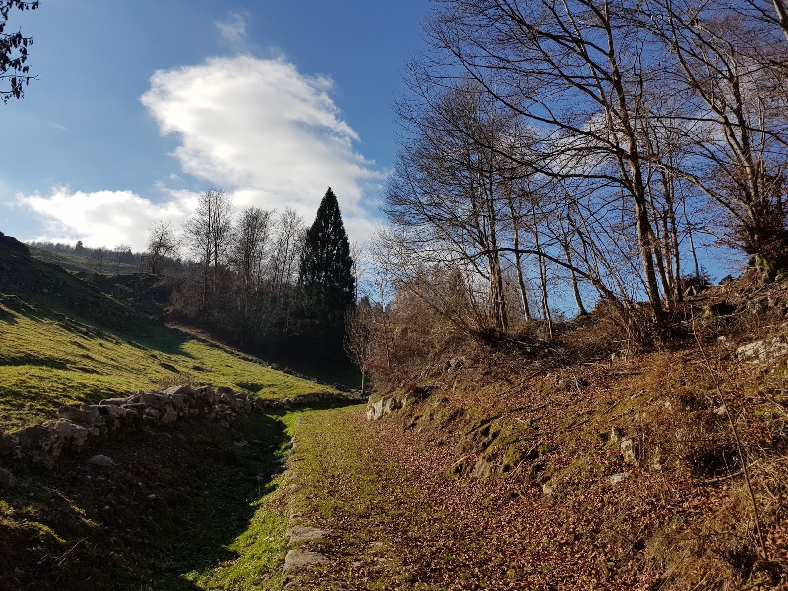 Su strade e sentieri: COL D'ASTIAGO (m. 1.241) - SENTIERO DEL VU - Val ...