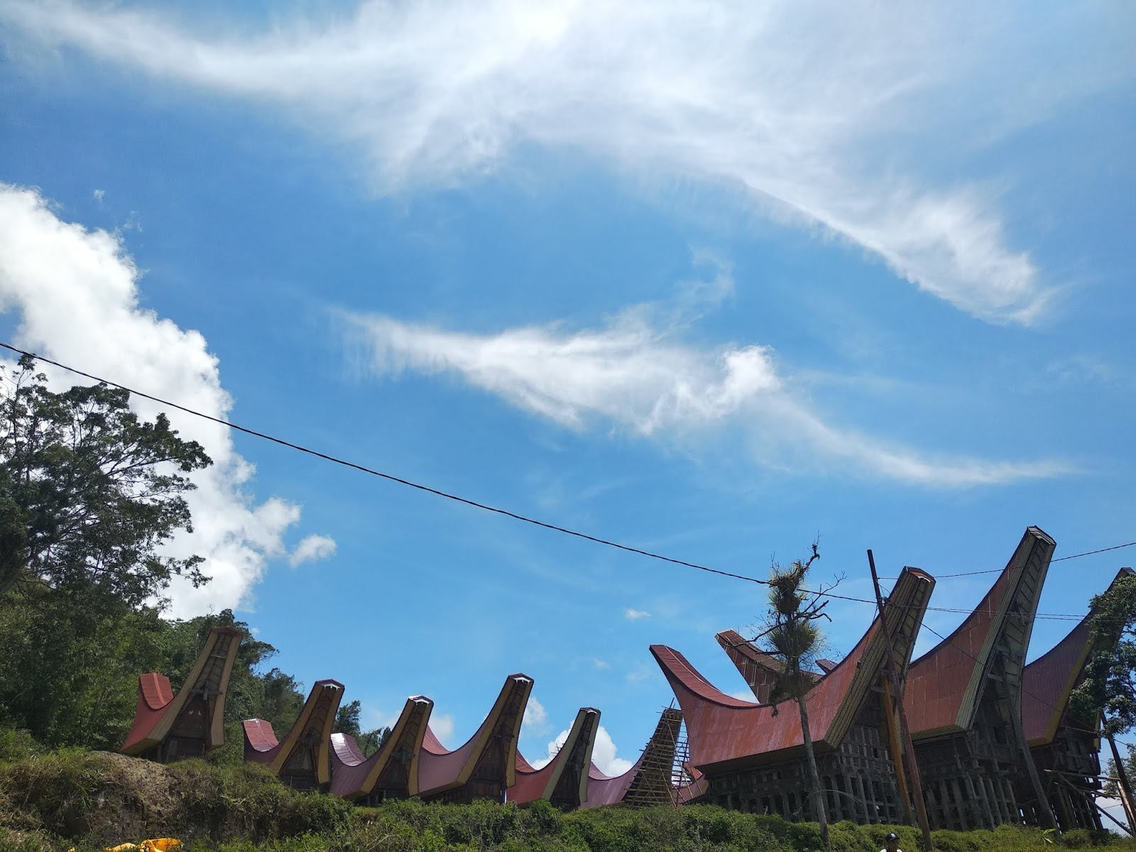 ANDI TENRI: NATURE FIELD TRIP REPORT IN TORAJA