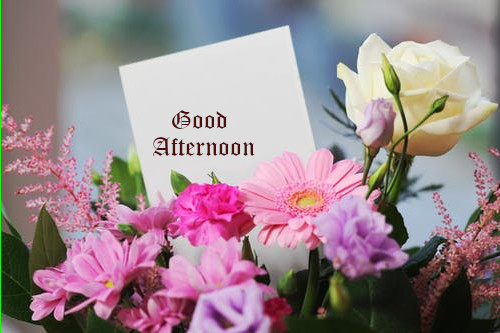 Top 10 Good Afternoon Images,Greetings, Pictures, for whatsapp ...