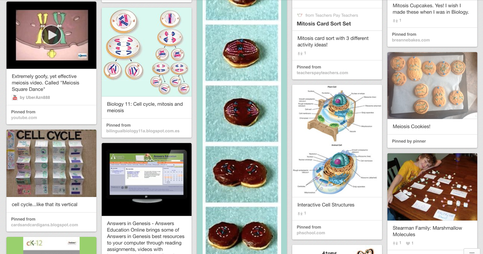 True North: Our Canadian Homeschool: Mitosis Cookies - Science 9