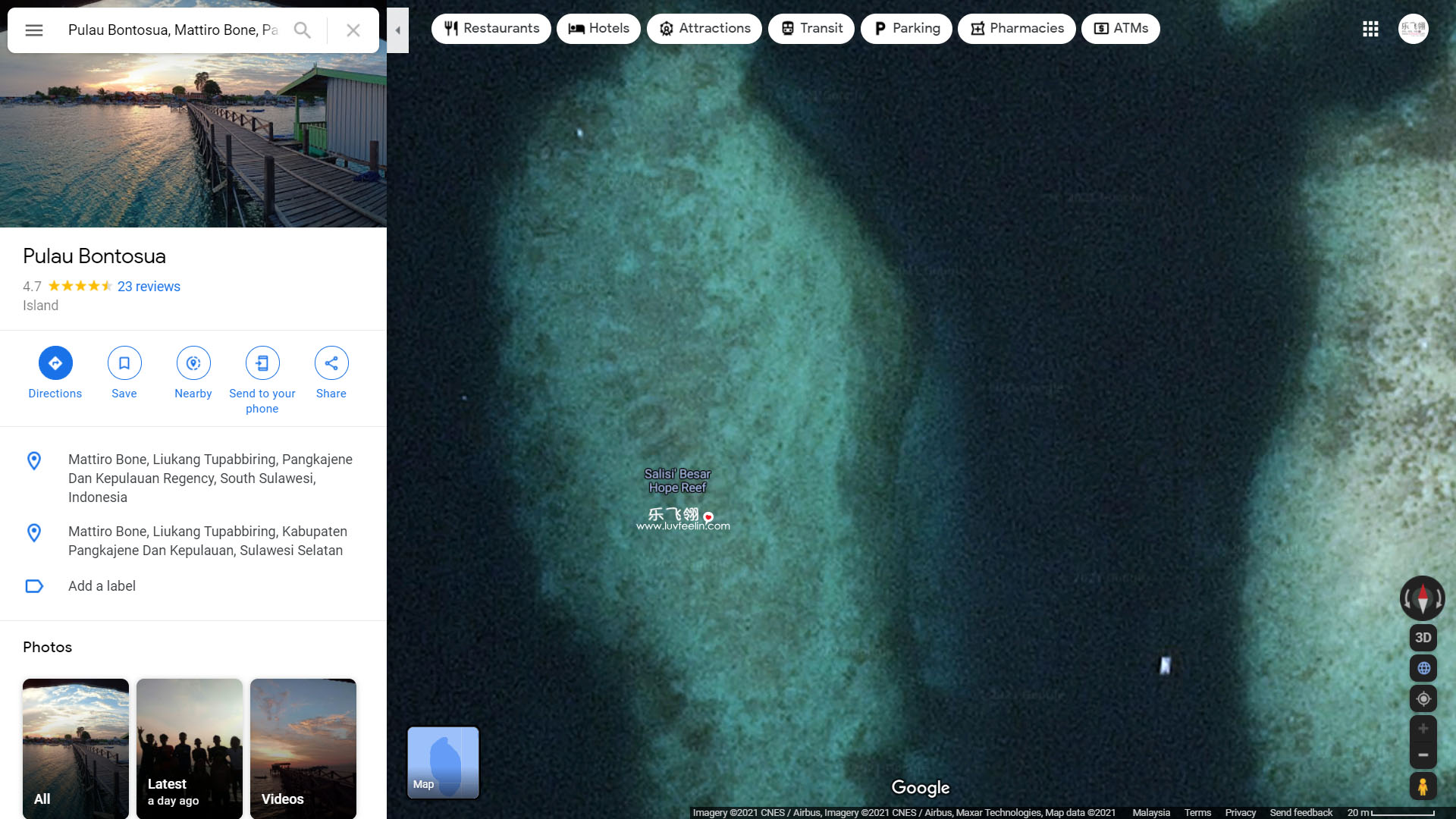 The Largest Coral Restoration Program In The World 一起参与全球最大珊瑚礁修复计划【Hope ...