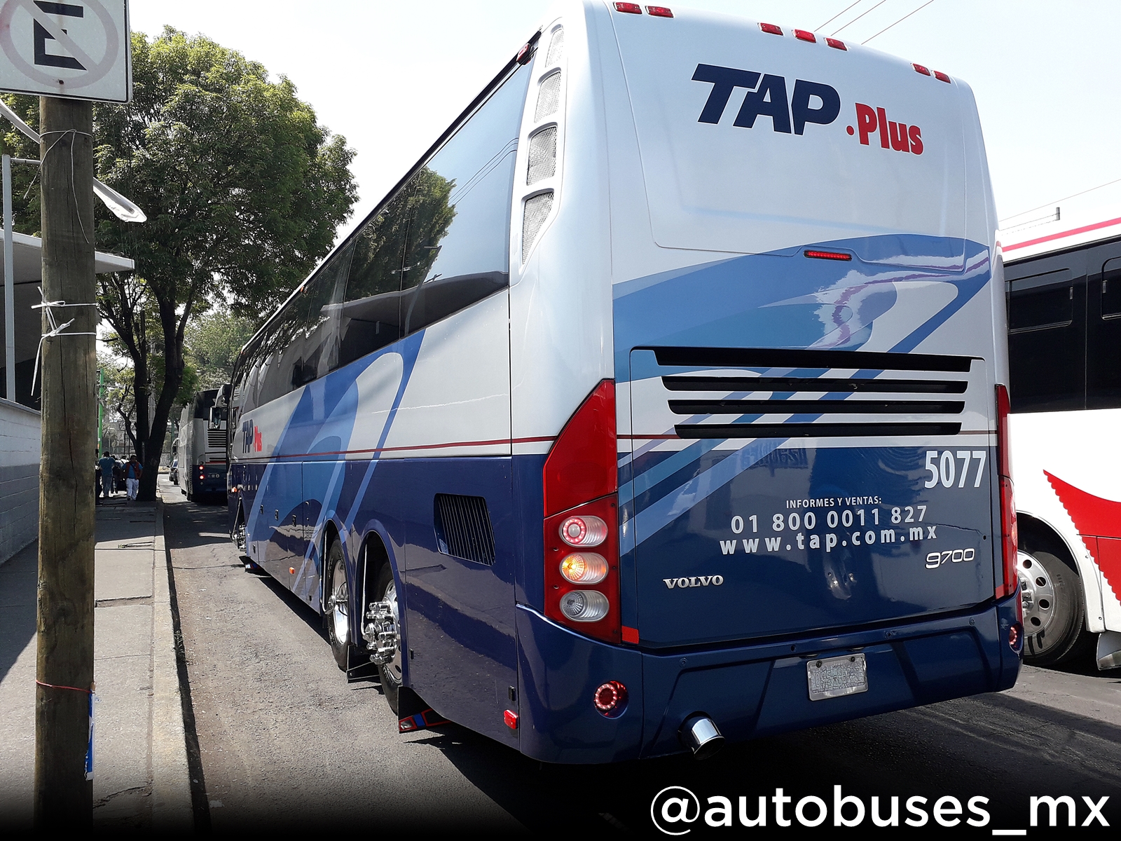 AYCAMX - Autobuses y Camiones México : Autobuses Foráneos 590. TAP