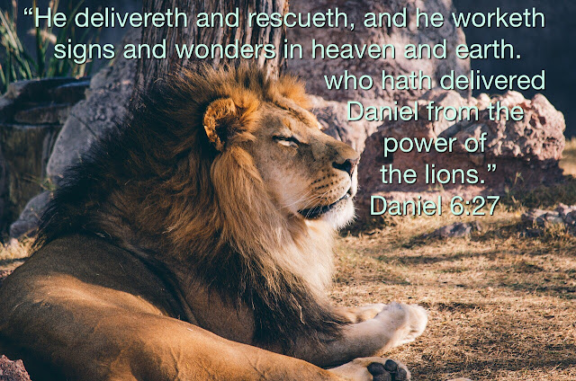 God's Faithful Deliverance ( Daniel 6 ) - Women in the Word