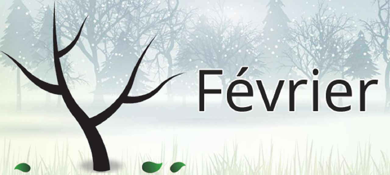 LE COQ PICORE: FÉVRIER... SOIT LE BIENVENU