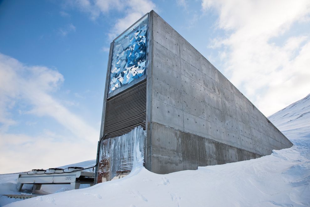 WHAT THE FUCK HAVE YOU DONE?: The arctic seed bank that was going to ...