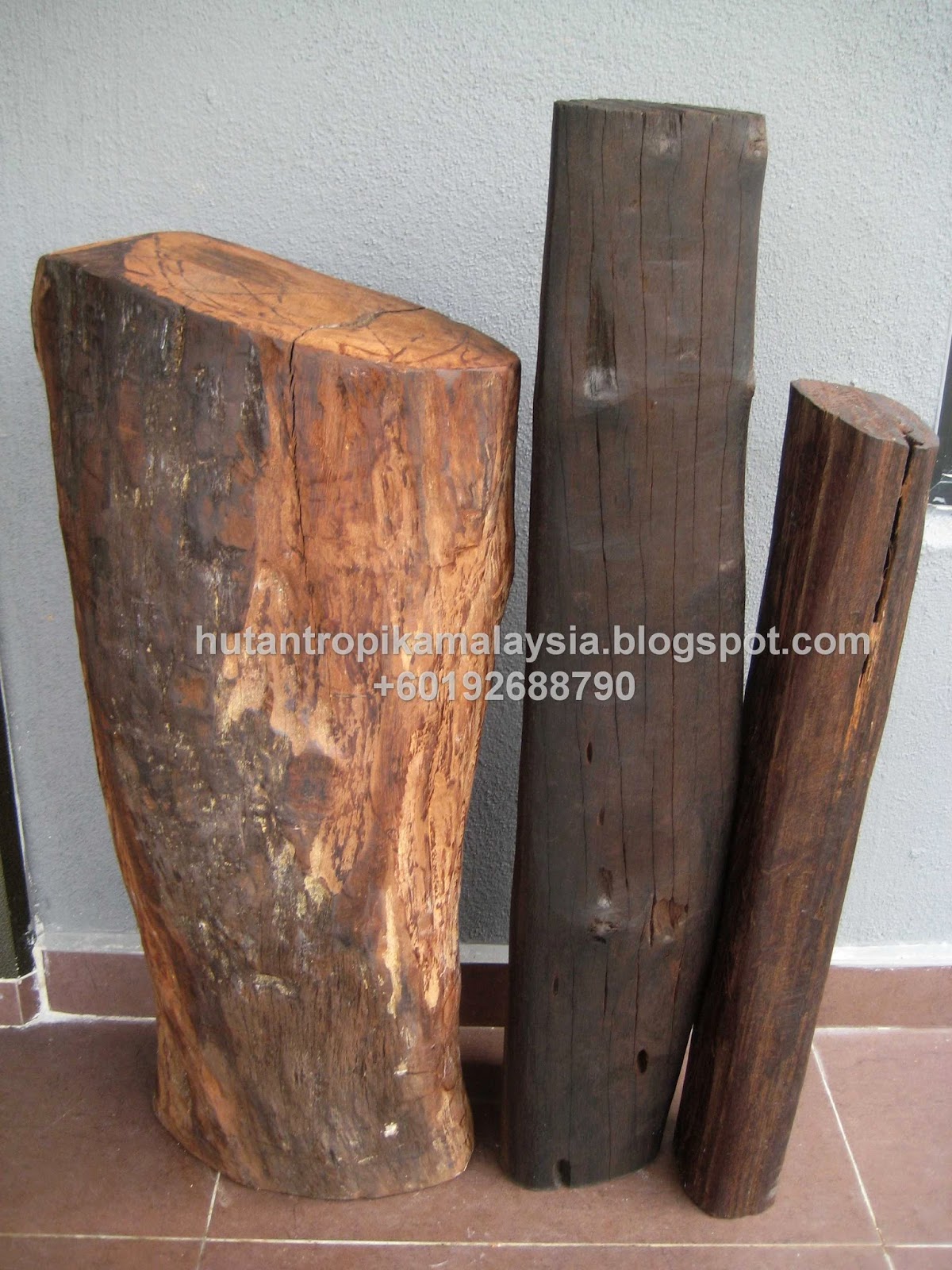 金山香料貿易 : Teras Gemunggal/kilo