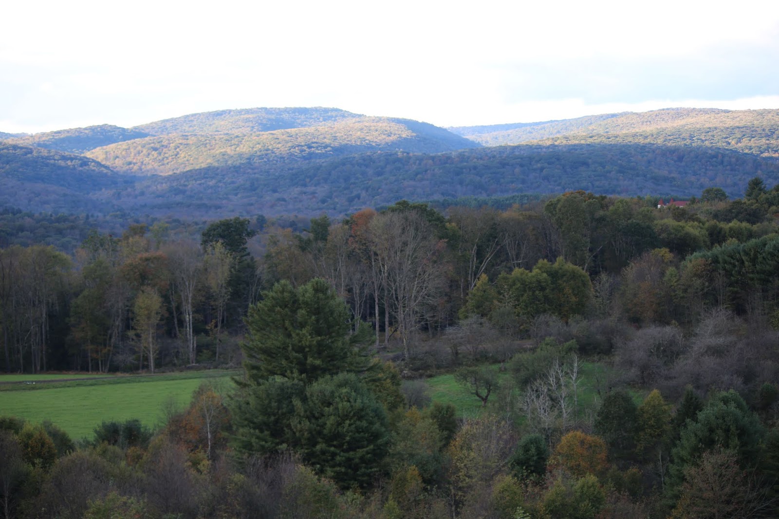 More Autumn Elk Watching in Pennsylvania | Interesting Pennsylvania and ...