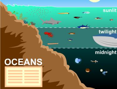 KCD Computer Lab Curriculum 2012-2013: 2nd Grade - OCEAN!!!