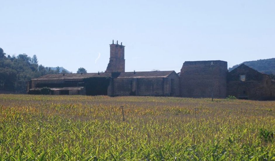 Patrimonio natural y cultural de Cifuentes: Crónica de la VII Marcha ...