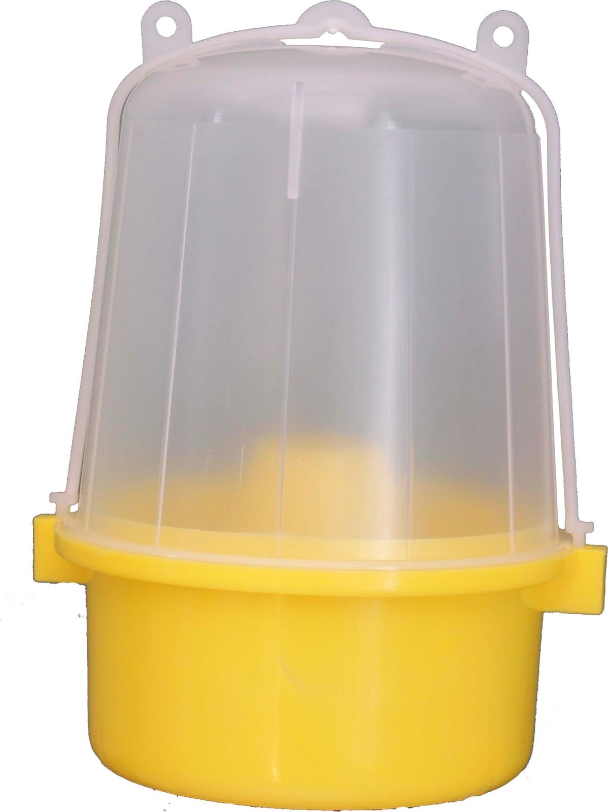 Insect Traps and Lures - Sentomol: Wasp Traps