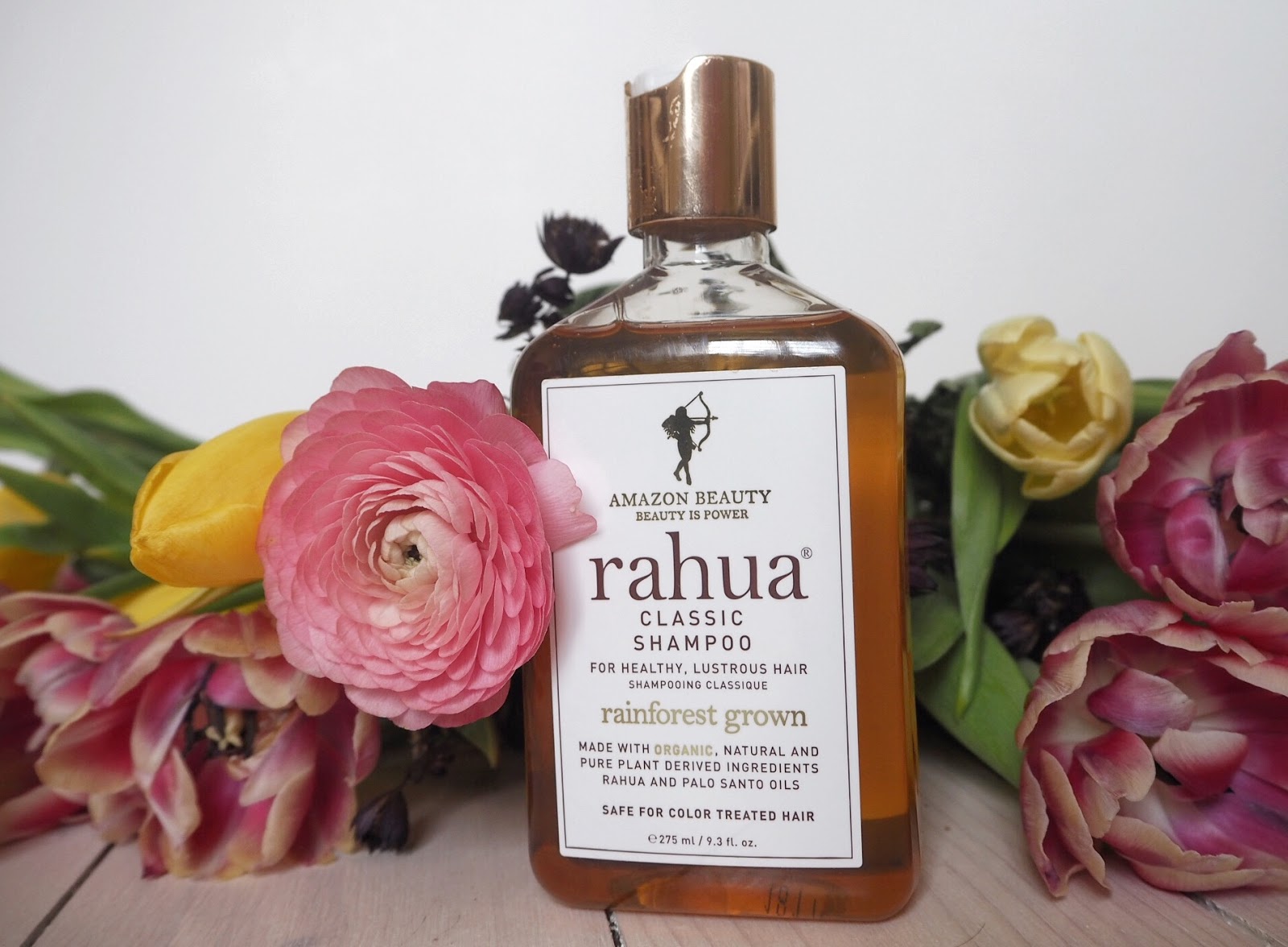 Sara Steele | Organic + Natural Hair & Beauty Blogger : Review | Rahua