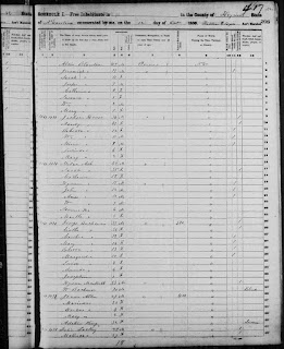 Jacob Leonard Hoyle Family History: Sarah Ann Blanton-Hoyle 1839-1878