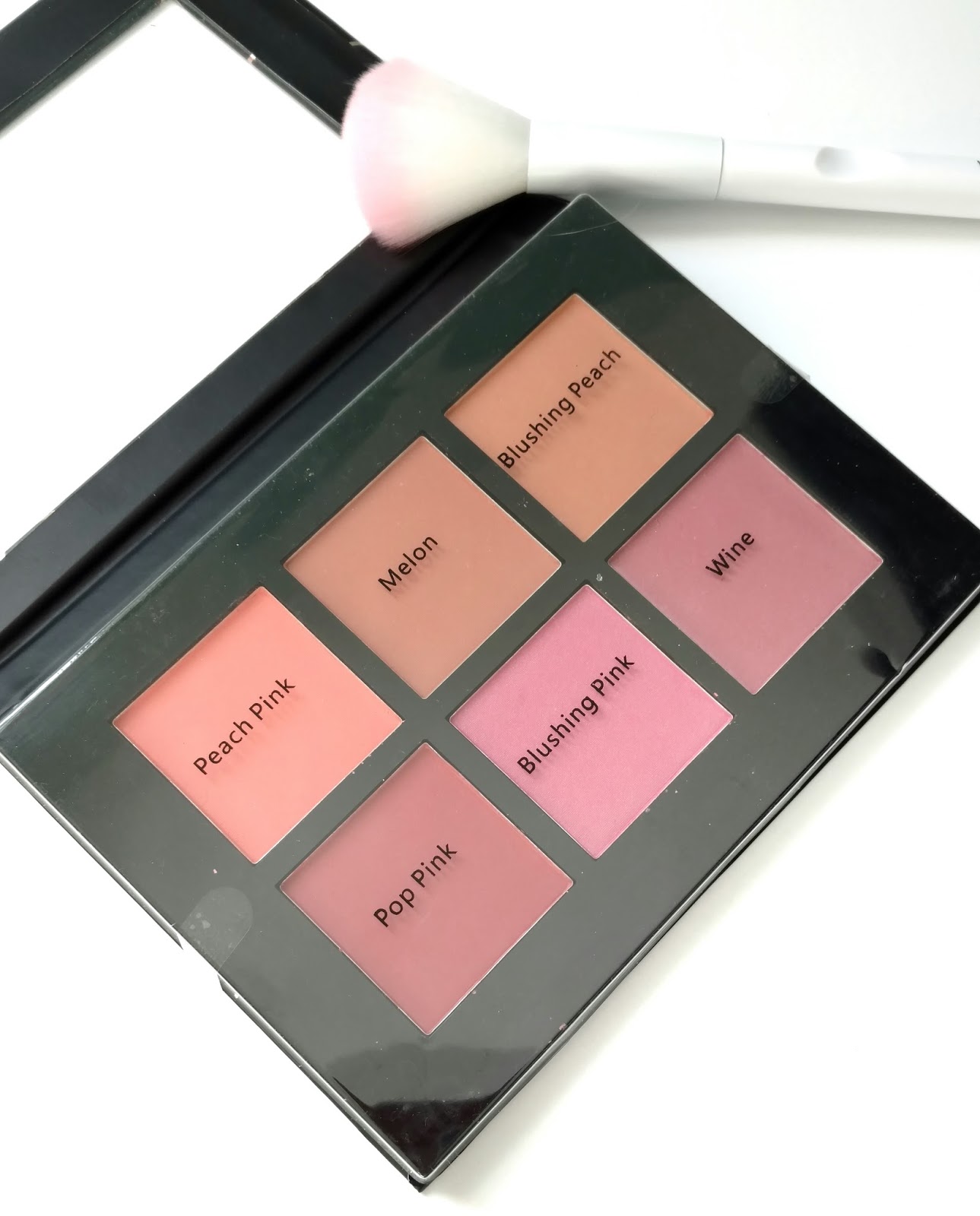 Profusion Studio Blush Palette Review and Swatches | The Budget Beauty Blog