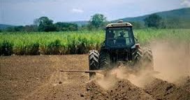 Mecanización: Sistema de Labranza: ¿Cuál es la diferencia entre ...