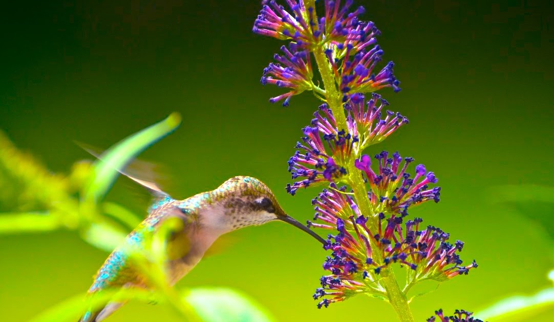 missing moments: Humming right along