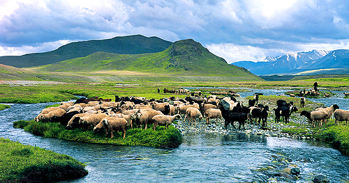 List of most beautiful national parks of Pakistan - Trango Tours