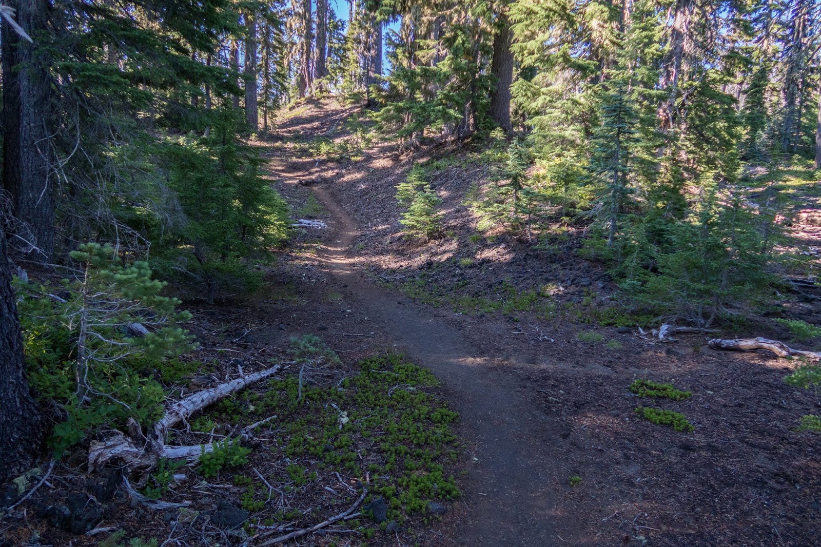 Eric's Hikes: Pacific Crest Trail: Santiam Pass to South Matthieu Lake