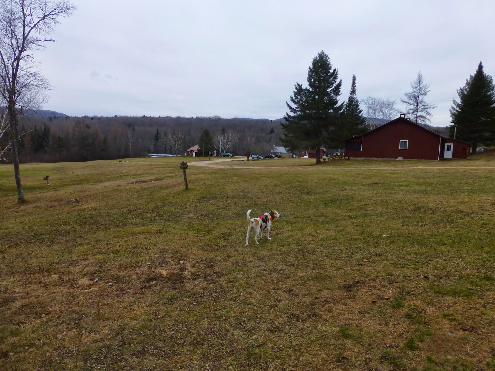 Off on Adventure: Puffer Mountain (3472') and Bullhead Mountain (3432 ...