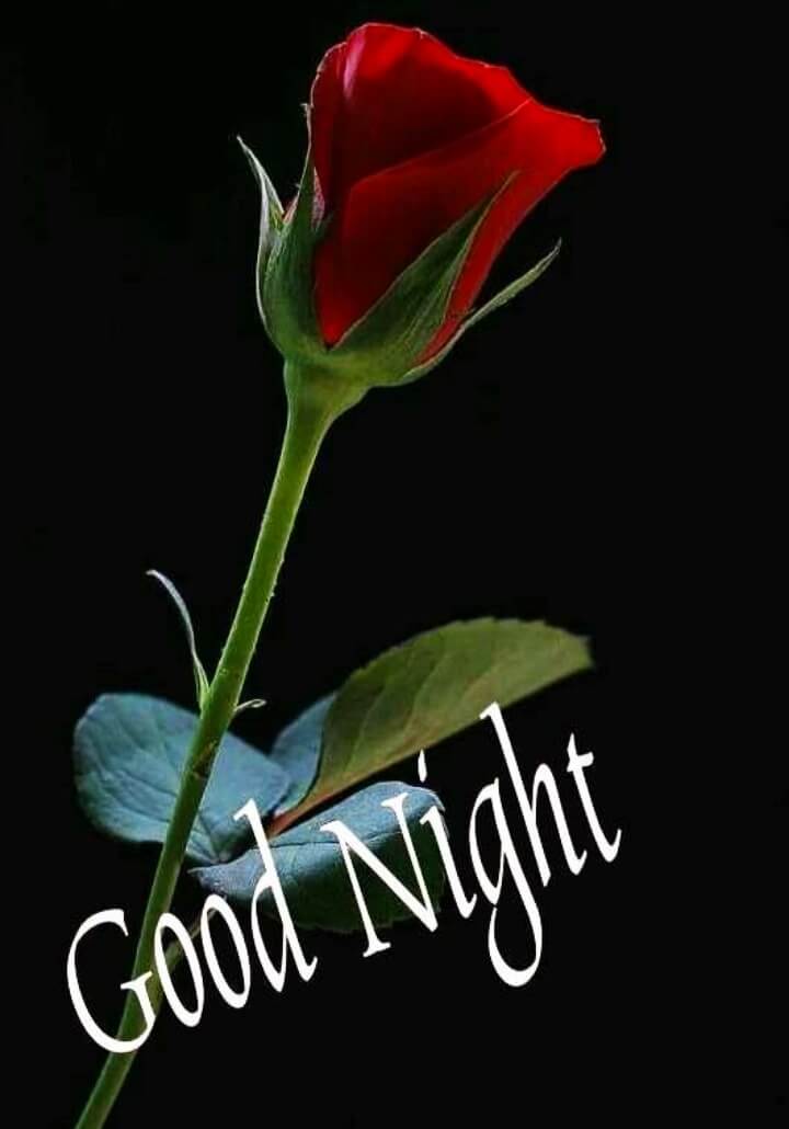 Good Night Pics For Facebook || Good Night Images - Mixing Images
