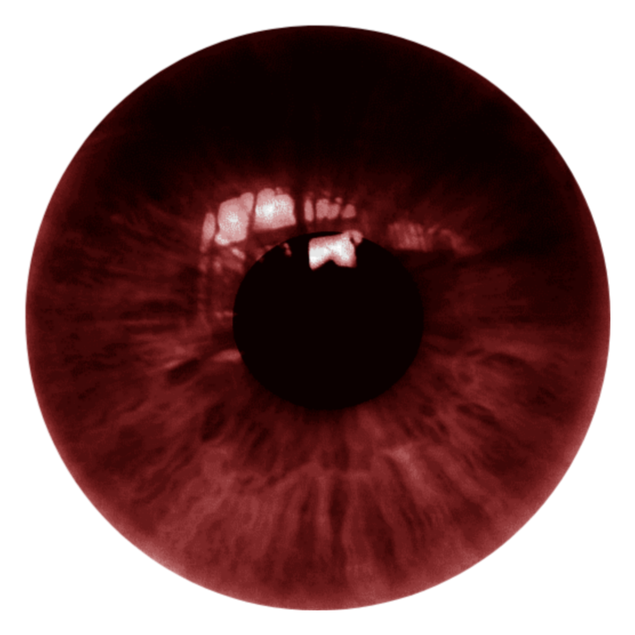 EYES TRANSPARENT PNG HD FOR EDITING | FREE DOWNLOAD