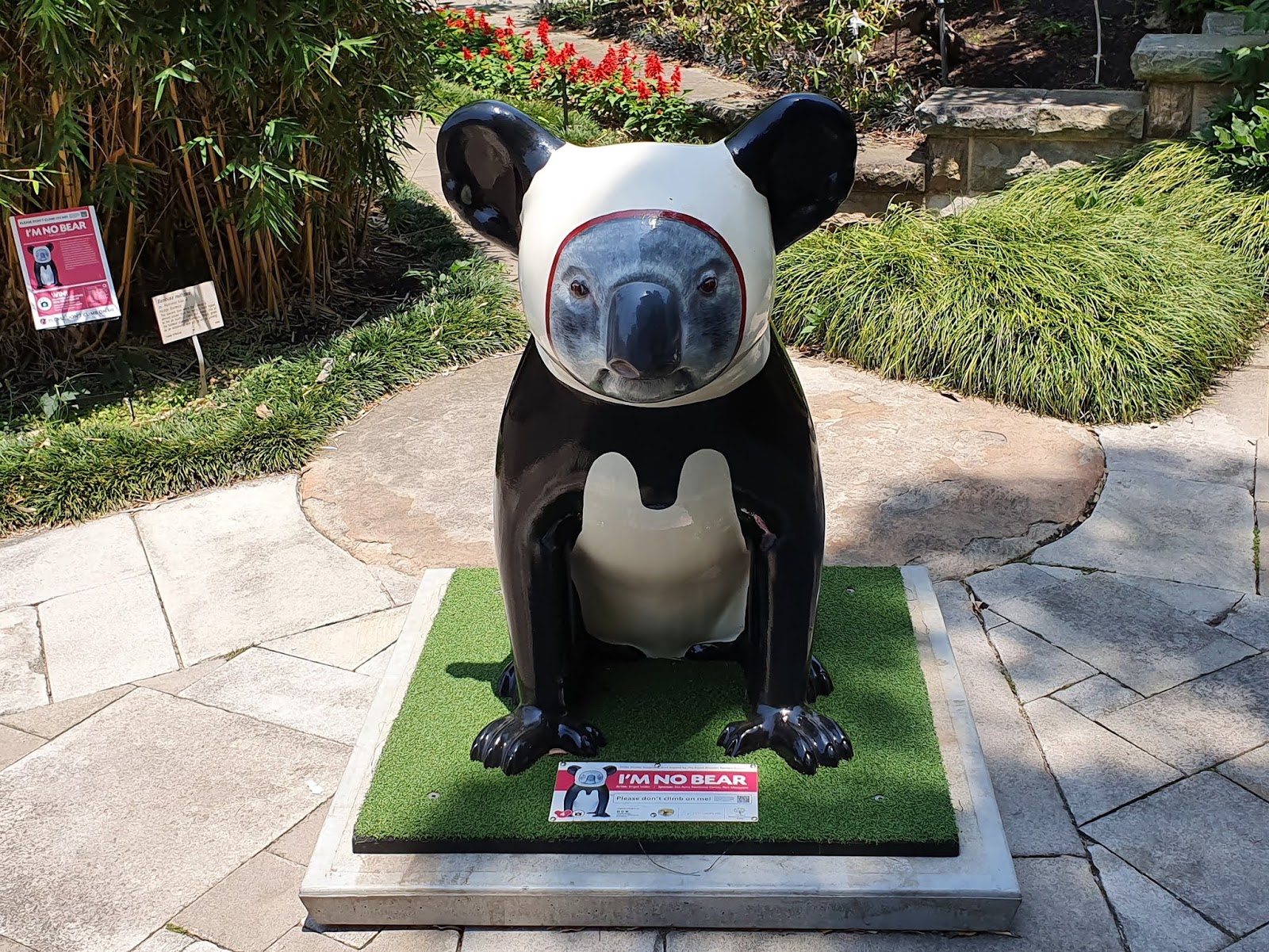 Sydney - City and Suburbs: Royal Botanic Gardens, Hello Koalas ...