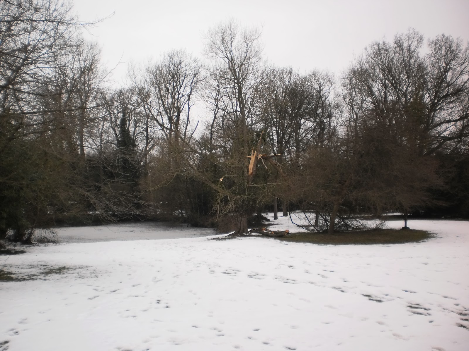 Las rutas de Nu: Gerrards Cross - Bulstrode Park