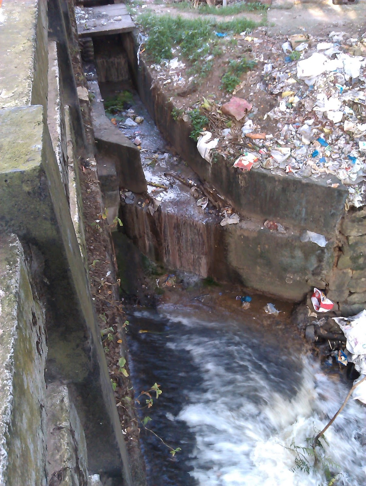 As we dream of a Smart City: Smart City: We killed our rivers and now ...